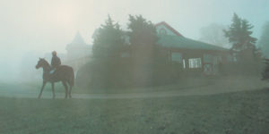 Calumet Farm