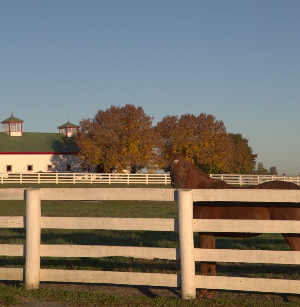 Calumet Farm